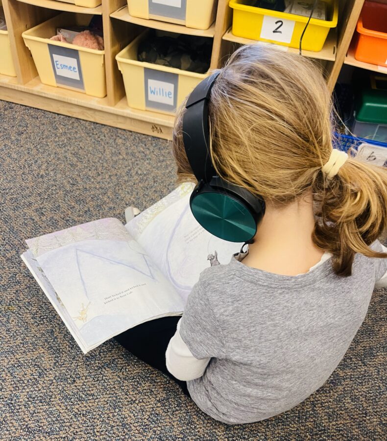 Why Private Kindergarten at Treehouse Learning? – Treehouse Learning